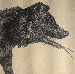 Paranormal Activity near Madison - The Firefly at Madison